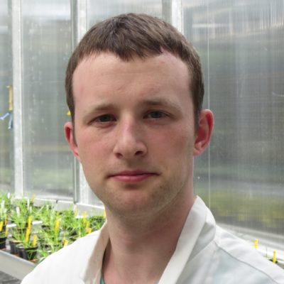 Molecular basis of the benefits of arbuscular mycorrhizal symbiosis for ...